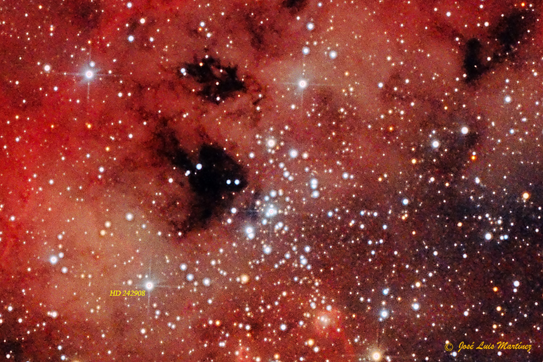 IC 410, la nebulosa de los Renacuajos y cúmulo NGC 1893 | Astronomía ...